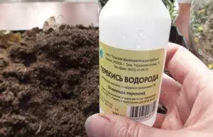 Appliquer le peroxyde d'hydrogène pour les plantes, son influence et comment traiter