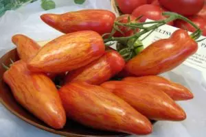 Περιγραφή της ποικιλίας της ντομάτας Sherhan και τα χαρακτηριστικά του