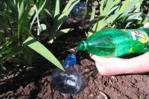 Titis nyiram kanggo timun saka botol plastik nganggo tangan dhewe