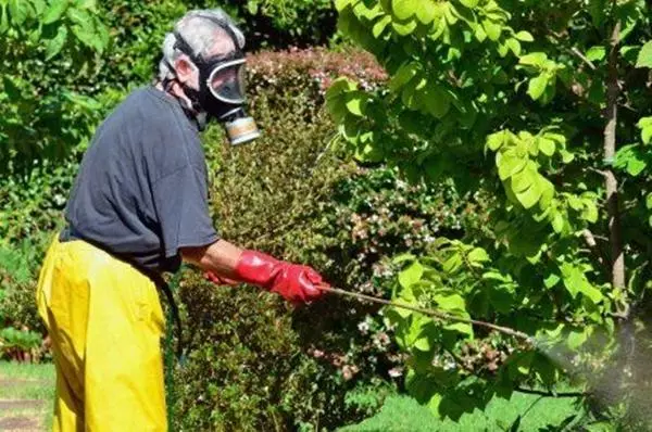 Glyphosate קוטלי עשבים