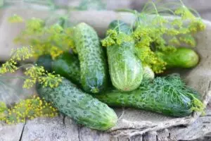 Ebumnuche na nkọwa nke ọkwa cucumbers nwere obi ike, ịkọ ha na usoro ha