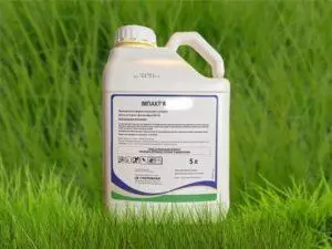 Pokyny pro použití nárazového fungicidu a míry spotřeby