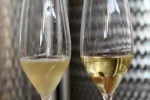 Hur man lyser vinet Gelatin hemma, regler och proportioner