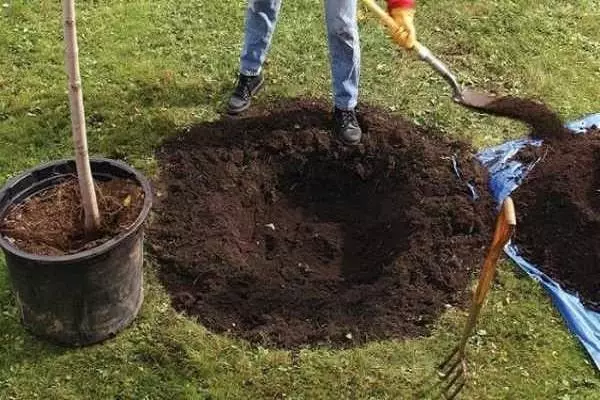 Копање на почвата