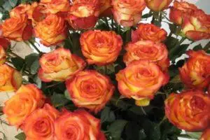 वर्णन आणि subtleties गुलाब वाढणारे गुलाब chirus