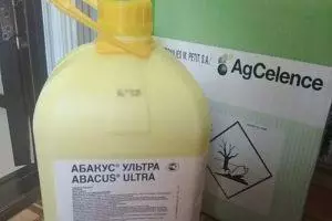Pandhuan kanggo nggunakake jamur Fungicide Abacus Ultra lan mekanisme tumindak