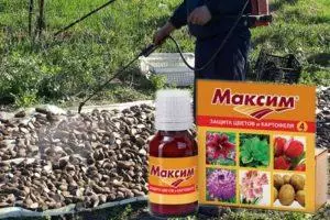 Pokyny pro použití fungicide Maxim a jak to funguje