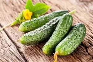সেরা বর্ণনা, Polycarbonate Greenhouses জন্য cucumbers ফসল ফসল