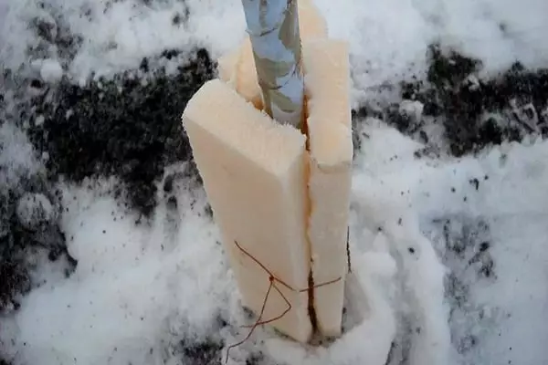 Ծառը ձմեռելու համար