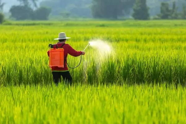 Pokyny na použitie Herbicide Targa Super, Rýchlosť spotreby a analógov