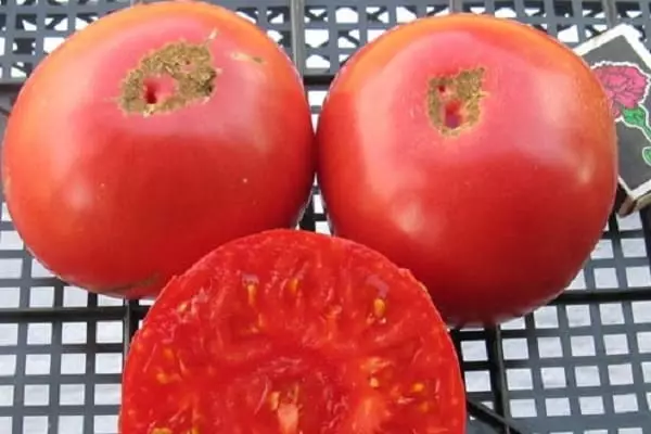 番茄vasilina.