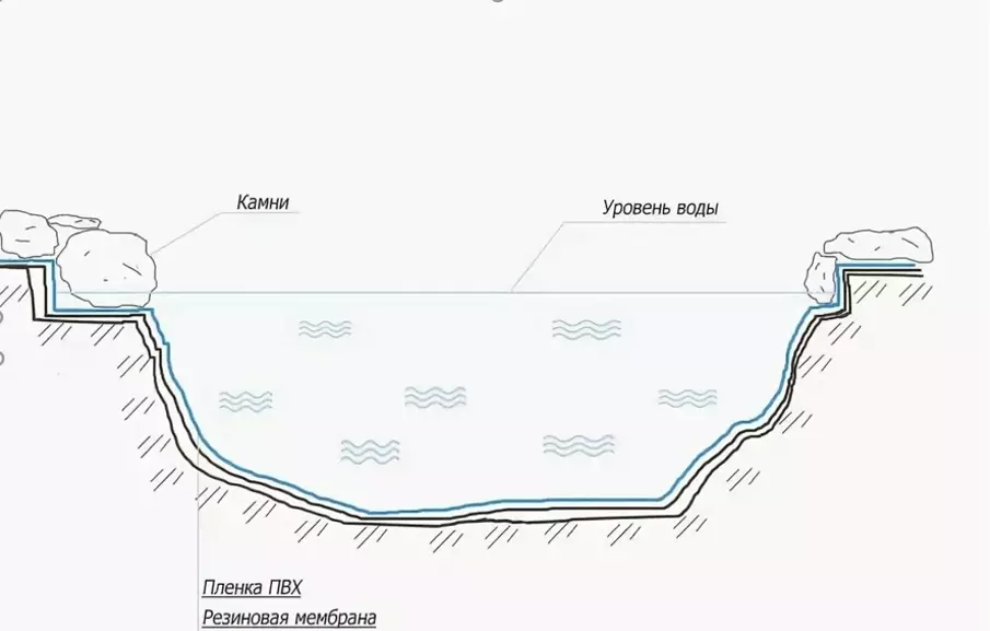 Бассейн моны үзегез эшли