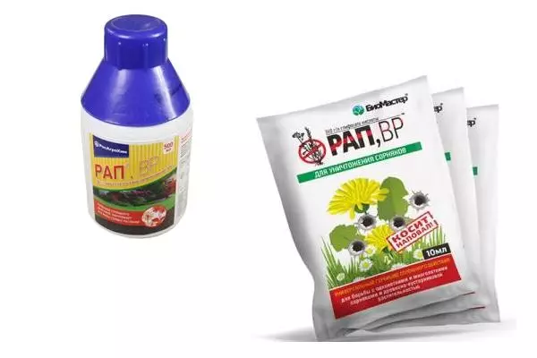 Herbicida de accionamento sólido RAP: Instrucións de uso, número de fluxo, análogos 2519_1