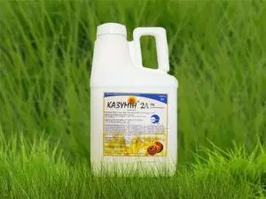 Instructions for the use of fungicide Kazumin, consumption rate and analogues