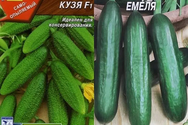 emel和kuzya的黄瓜种子