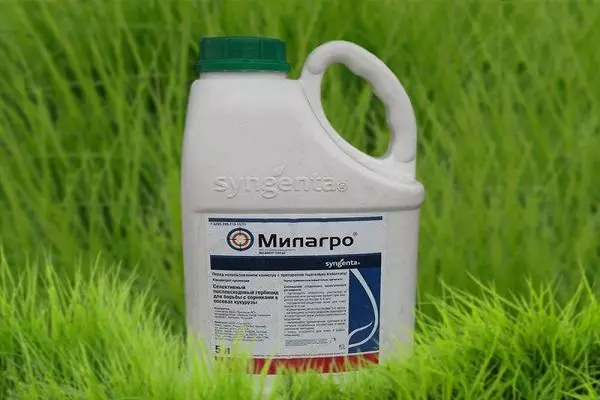 Herbicide Milagro: Mga tagubilin para sa paggamit, mekanismo ng pagkilos, rate ng paggasta 2684_2