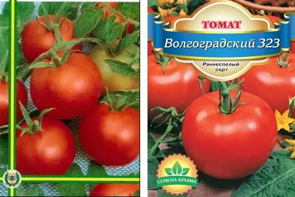Sementes de tomate Volgograd 323