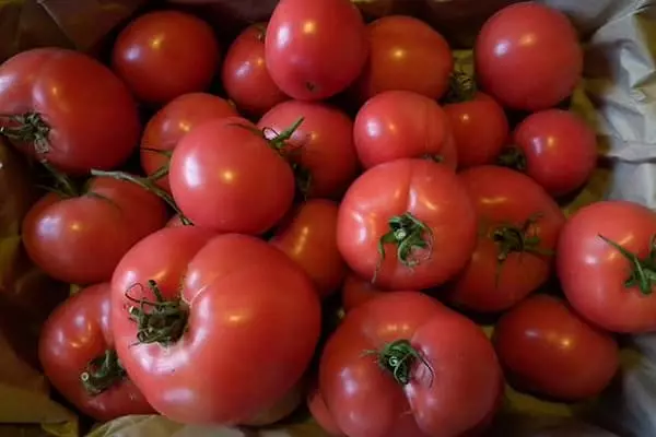 Vintage tomatea.