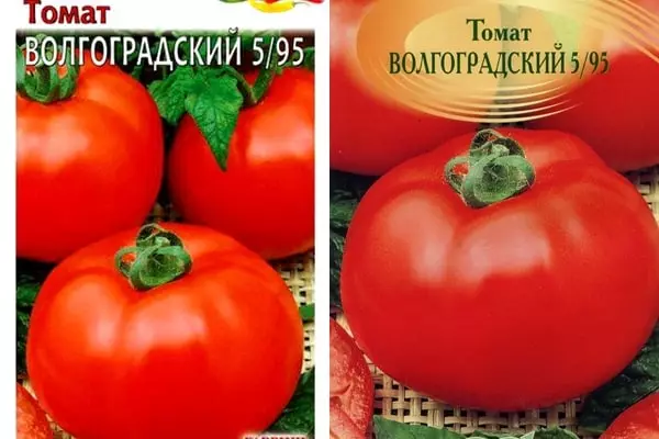 Volgograd Tomato 5/95.