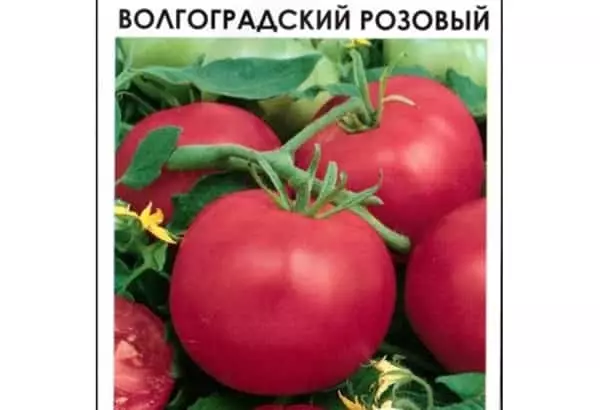 Volgograd rosa tomate.