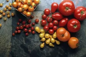 Varieti terbaik biji tomato untuk tanah terbuka rantau Rostov