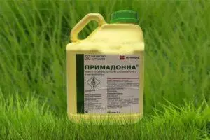 Instrucciones para el uso del herbicida de ceremonia.