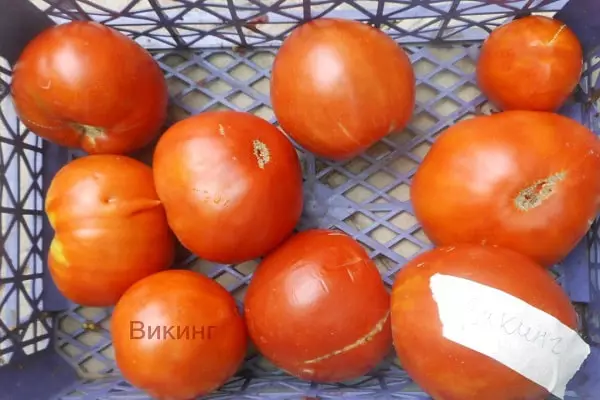 Tomato sa Sweden.