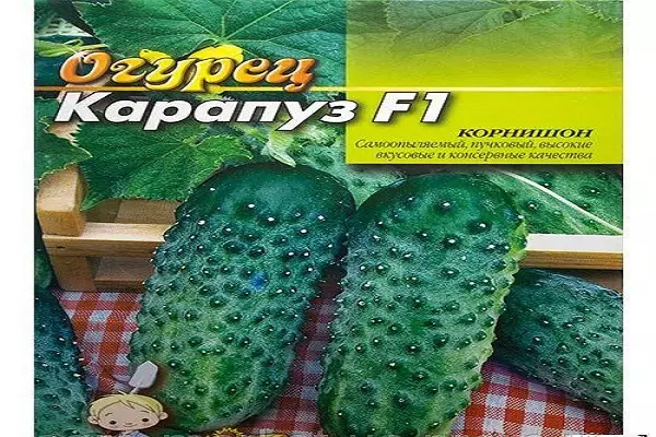 Cucumber Karapuz
