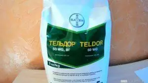 Pokyny na používanie Fungicide Telfor, kompatibilita a analógy