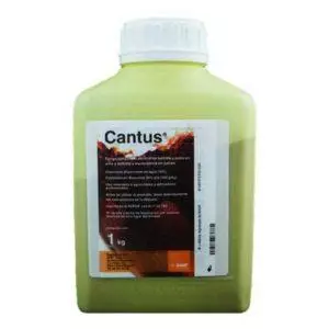 Cantus- ի օգտագործման եւ ֆունգիցիդի անալոգների օգտագործման հրահանգներ