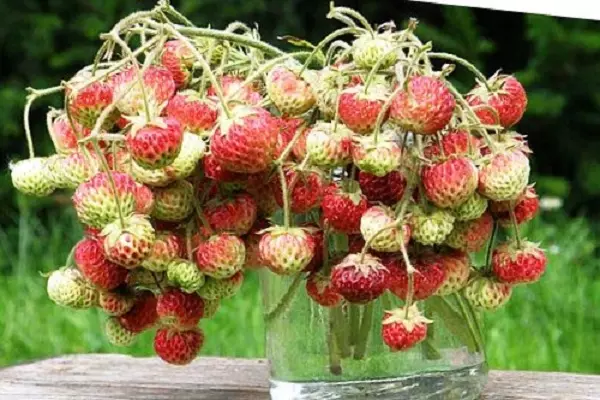 Erdbeere sortieren