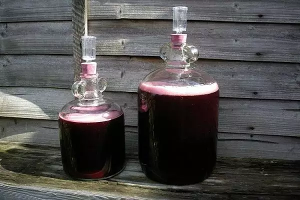 Víno fermentace