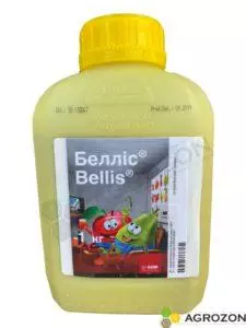 Fungisit Bellis, Doz ve Analogların Kullanım ve Kompozisyon Talimatları