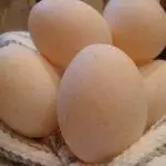 Ankka munat: Onko mahdollista syödä ja missä muodossa, hyötyä ja vahingoittaa kehoa 2855_1