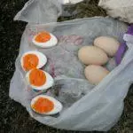 Telur itik: Adakah mungkin untuk makan dan dalam bentuk, manfaat dan membahayakan tubuh 2855_13