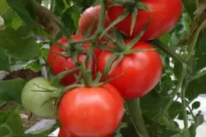 Tsanangudzo yeiyo dzakasiyana-siyana tomato yakawanda F1, hunhu hwayo