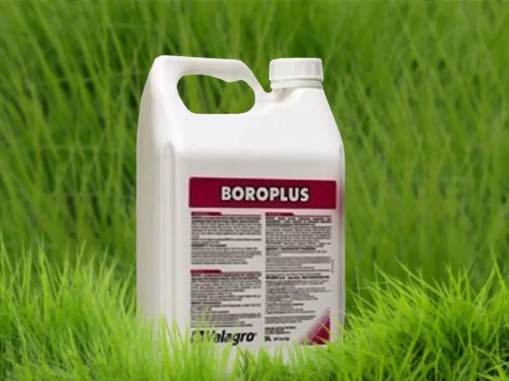 Fertilizante de Boroplus.