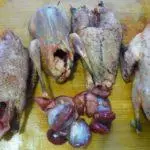 Duck Khaki: описание на породата и характеристиките, правилата за размножаване и диета 2887_17