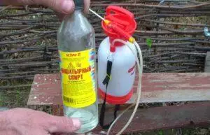 The use of ammonic alcohol like fertilizers for the garden and the garden, how to dilute
