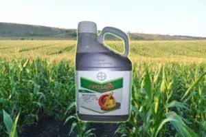 Instructions for the use of fungicide Prosaro and expense rate