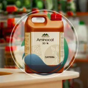 ინსტრუქციები Aminocata- ის გამოყენების და შემადგენლობისთვის, სასუქის დოზა და ანალოგები