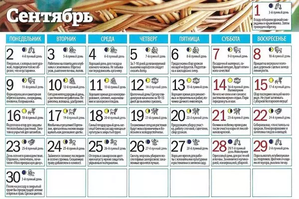 Kalendari i kopshtarit