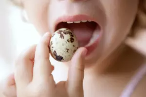 Are Salmonella in quail eggs and how to check the product for infection