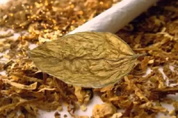 Idapo Tobacco