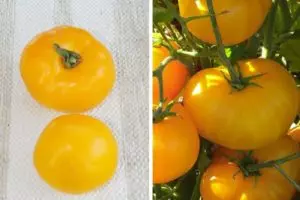Tsananguro yeTomato Tomato Amber huchi uye hunhu hwayo