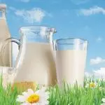 Densitatea laptelui: de la care depinde tabelul de indicatori în kg m3, cum să crească 3038_2