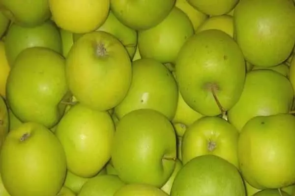 अनेक सफरचंद