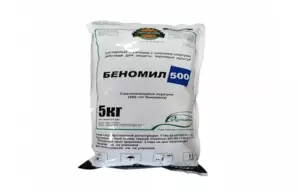 Norādījumi par Benomilas lietošanu un fungicīdu, devas un analogu sastāvu