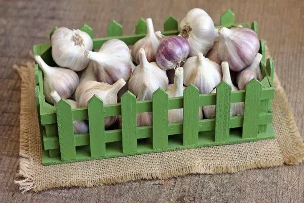 Stóráil garlic