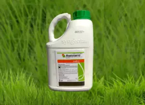 Pokyny pro použití a složení insekticidy amplulaci, dávkování a analogů